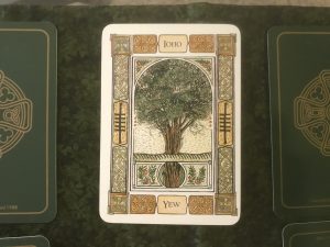 Thoughts on and interpretation of The Celtic Tree Oracle: A System of ...